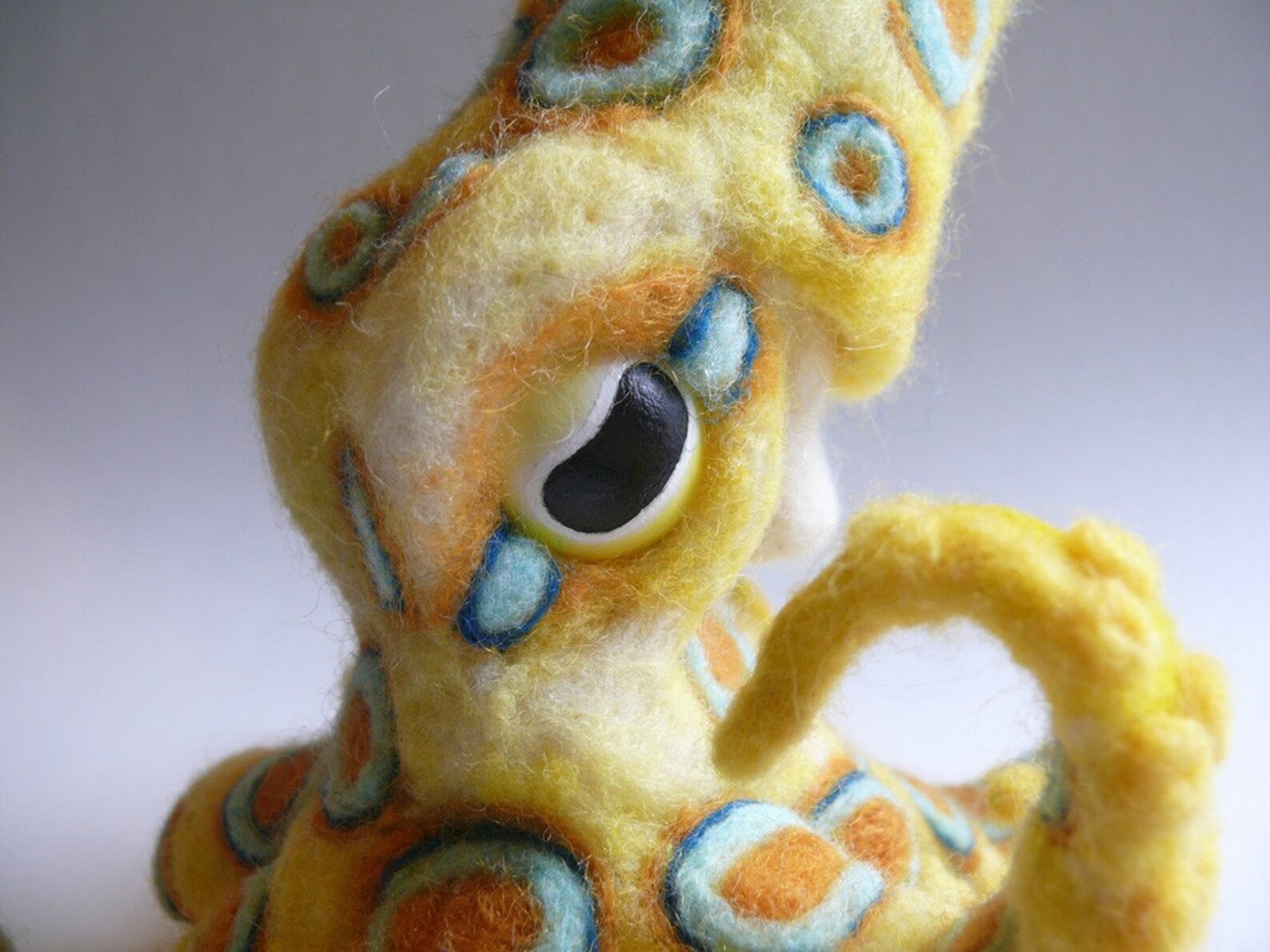 Blue-ringed Octopus - Etsy