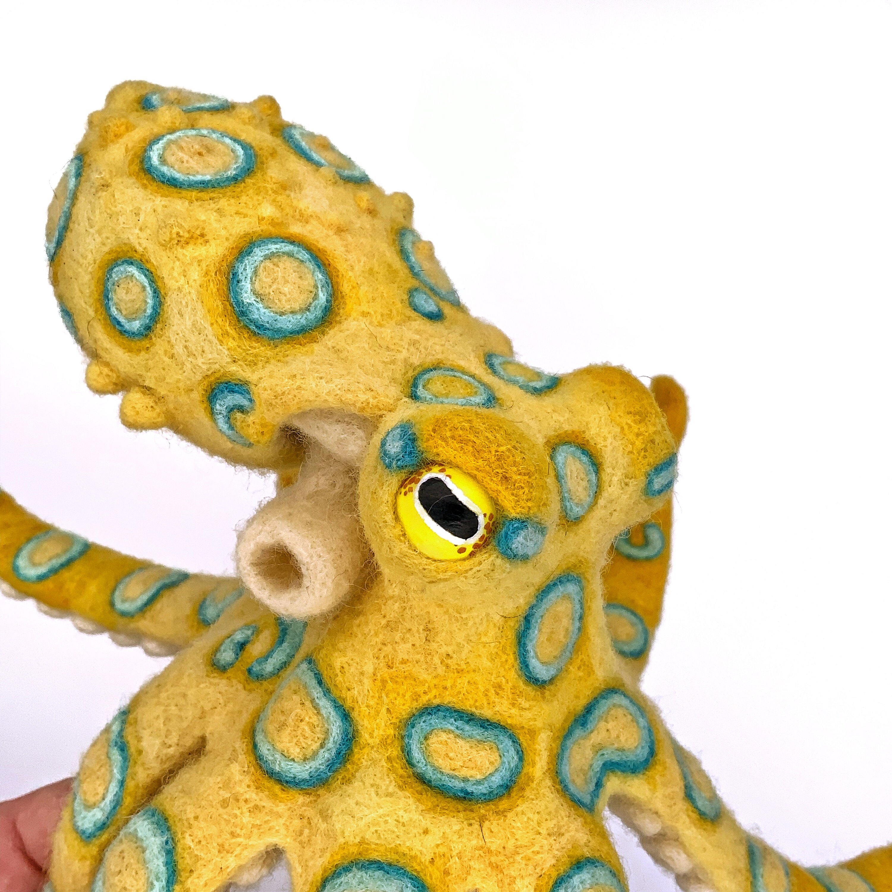 Blue-ringed Octopus - Etsy