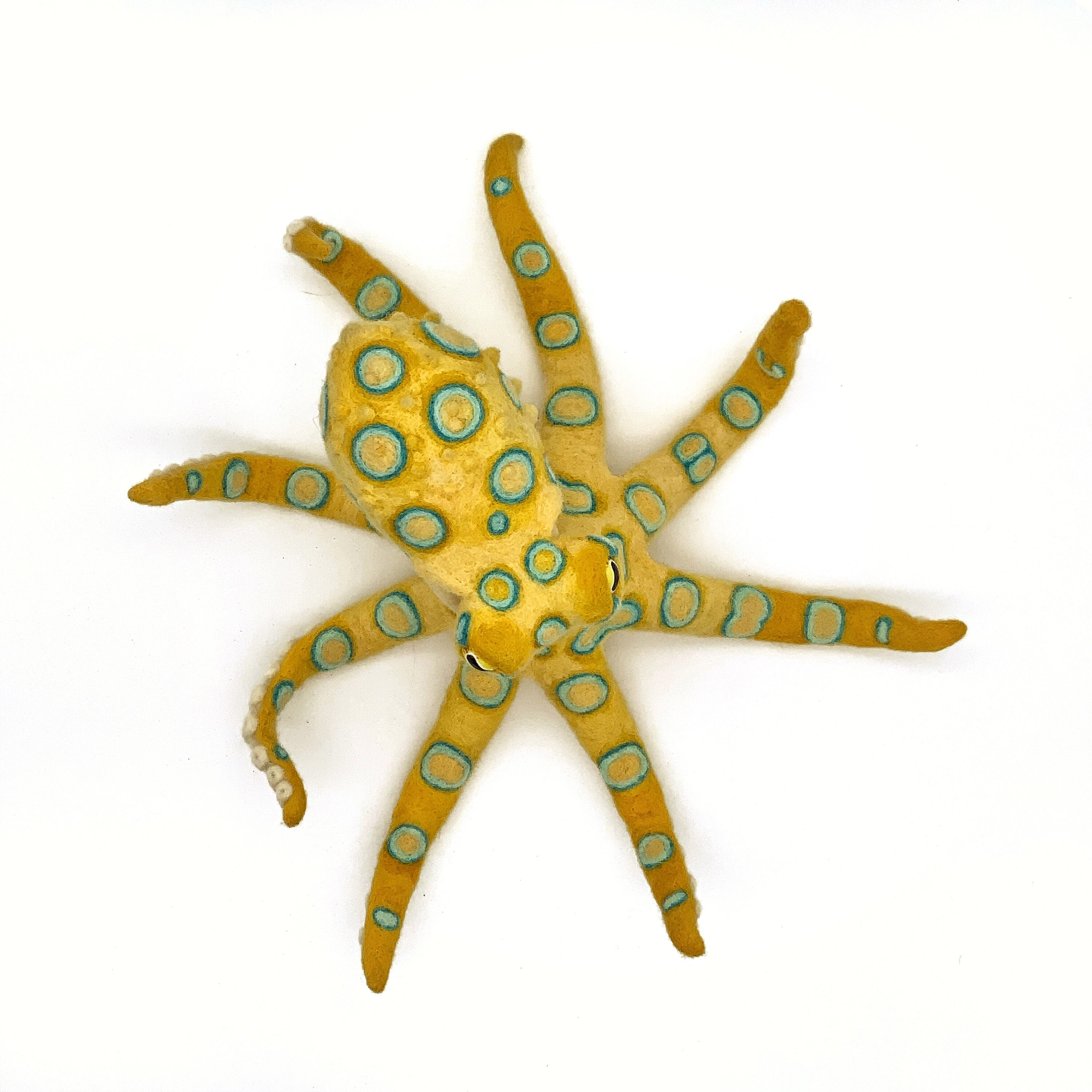 Blue-ringed Octopus - Etsy