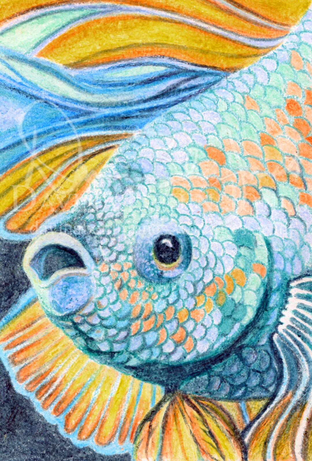 DIGITAL DOWNLOAD - Crayon Blue Betta - Etsy