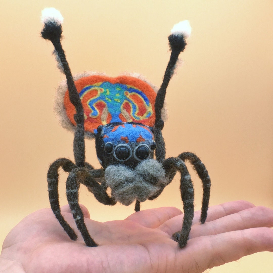 Needle Felted Peacock Spider - Maratus Elephans - Etsy
