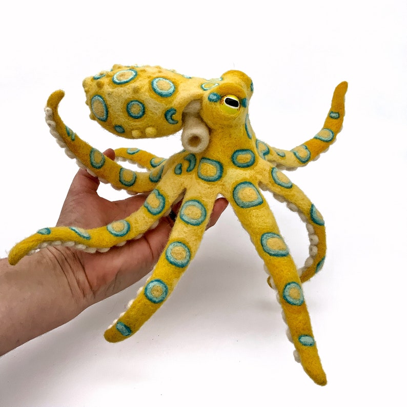 Blue-ringed Octopus - Etsy