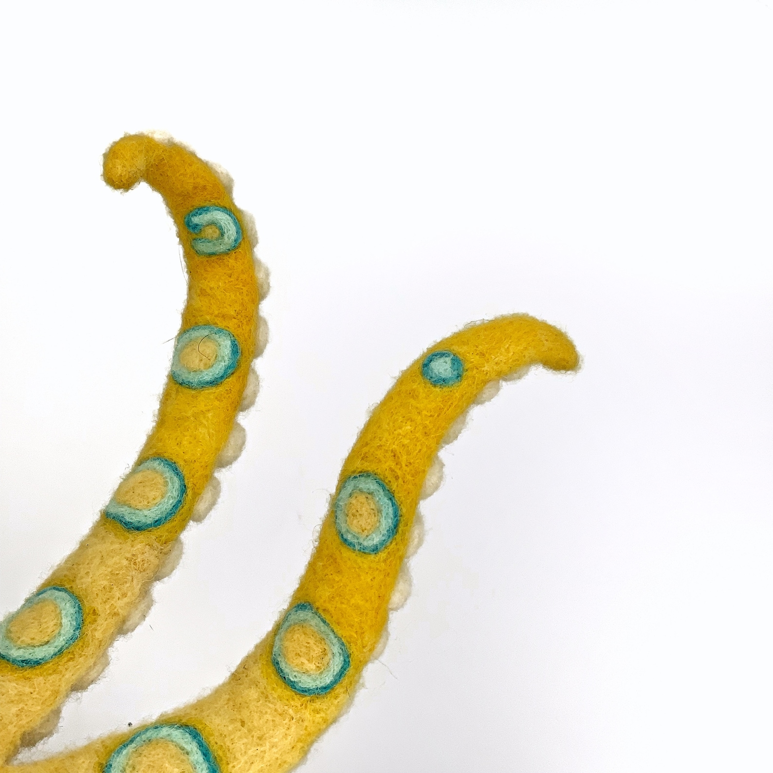 Blue-ringed Octopus - Etsy