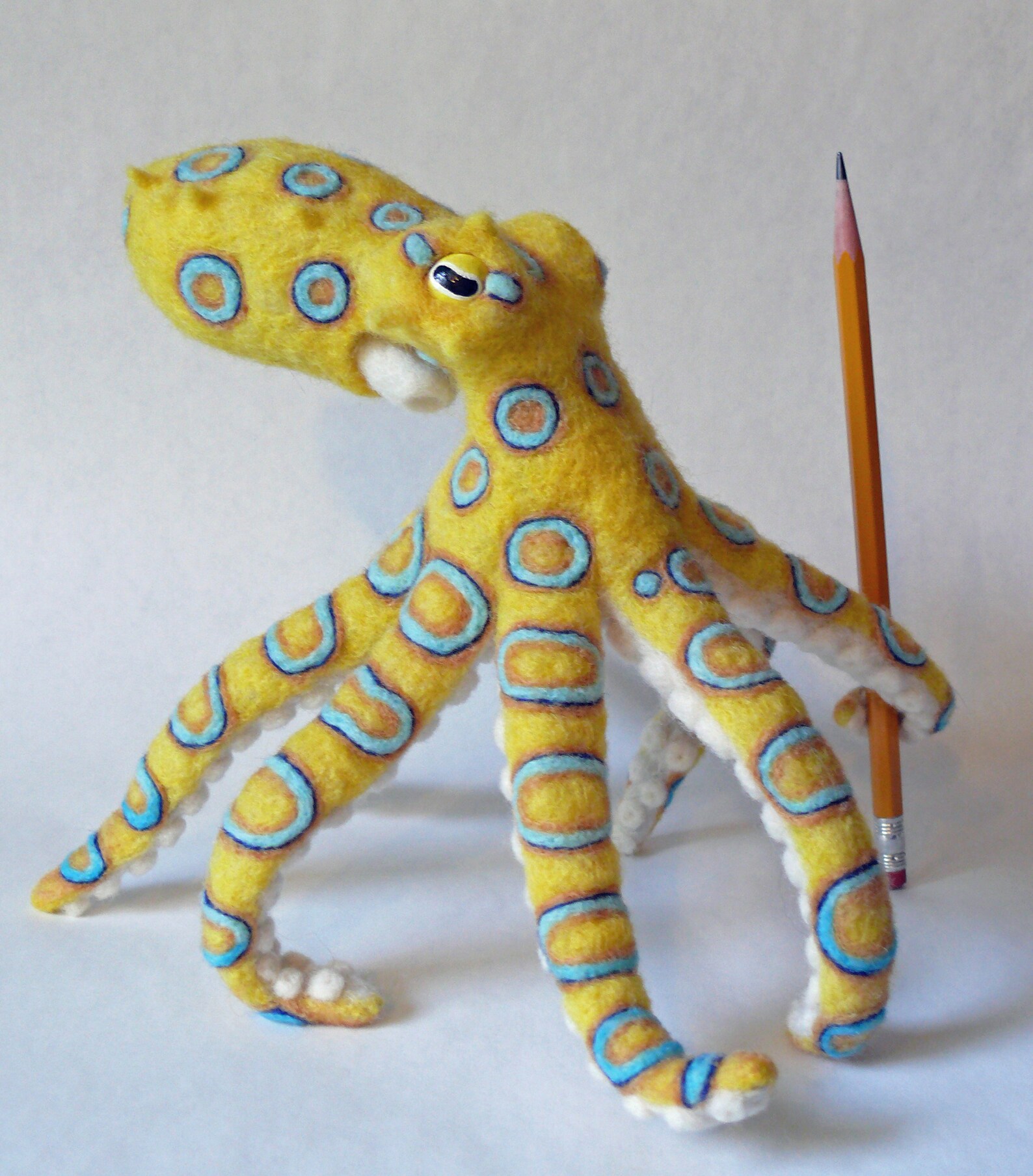 Blue-ringed Octopus - Etsy