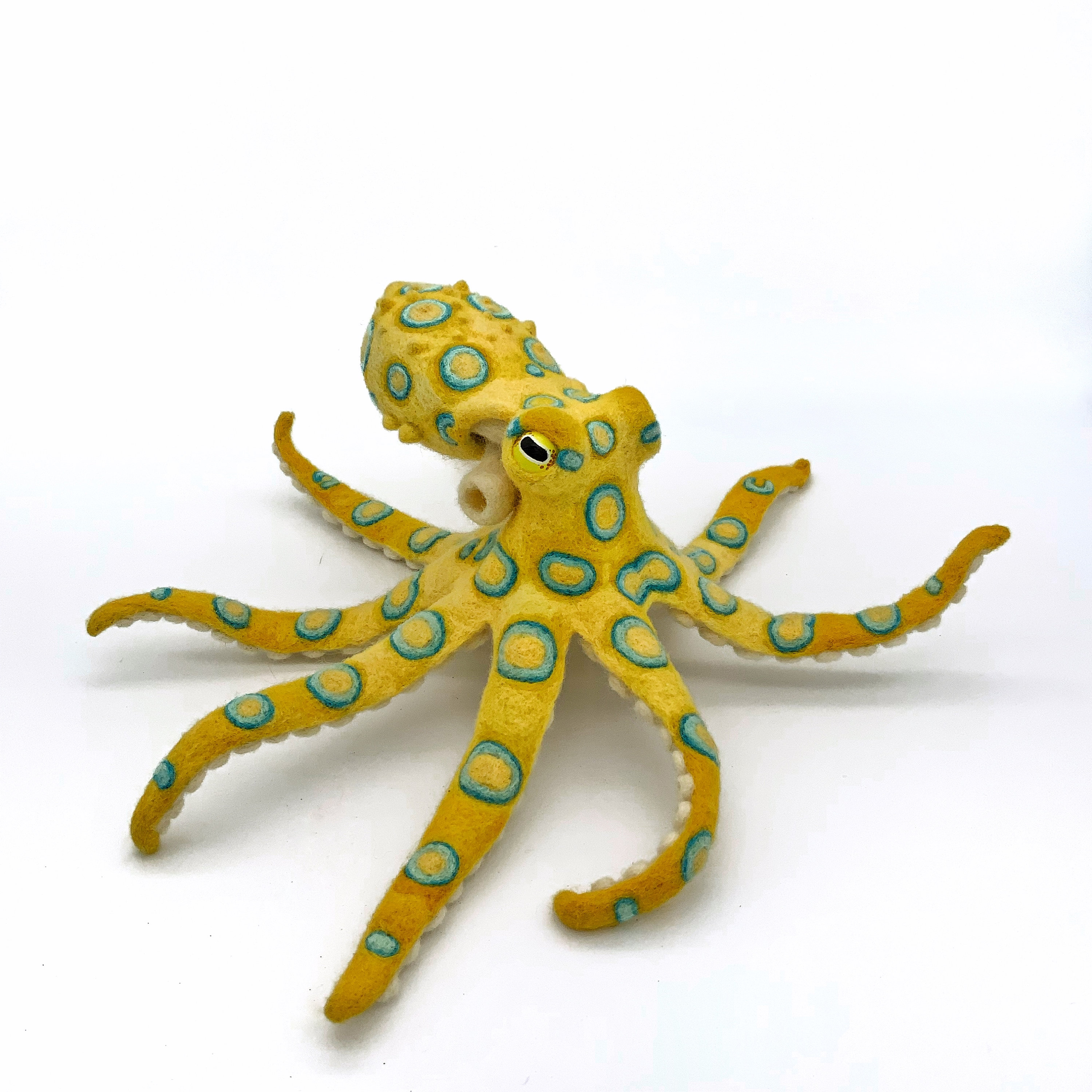 Blue-ringed Octopus - Etsy