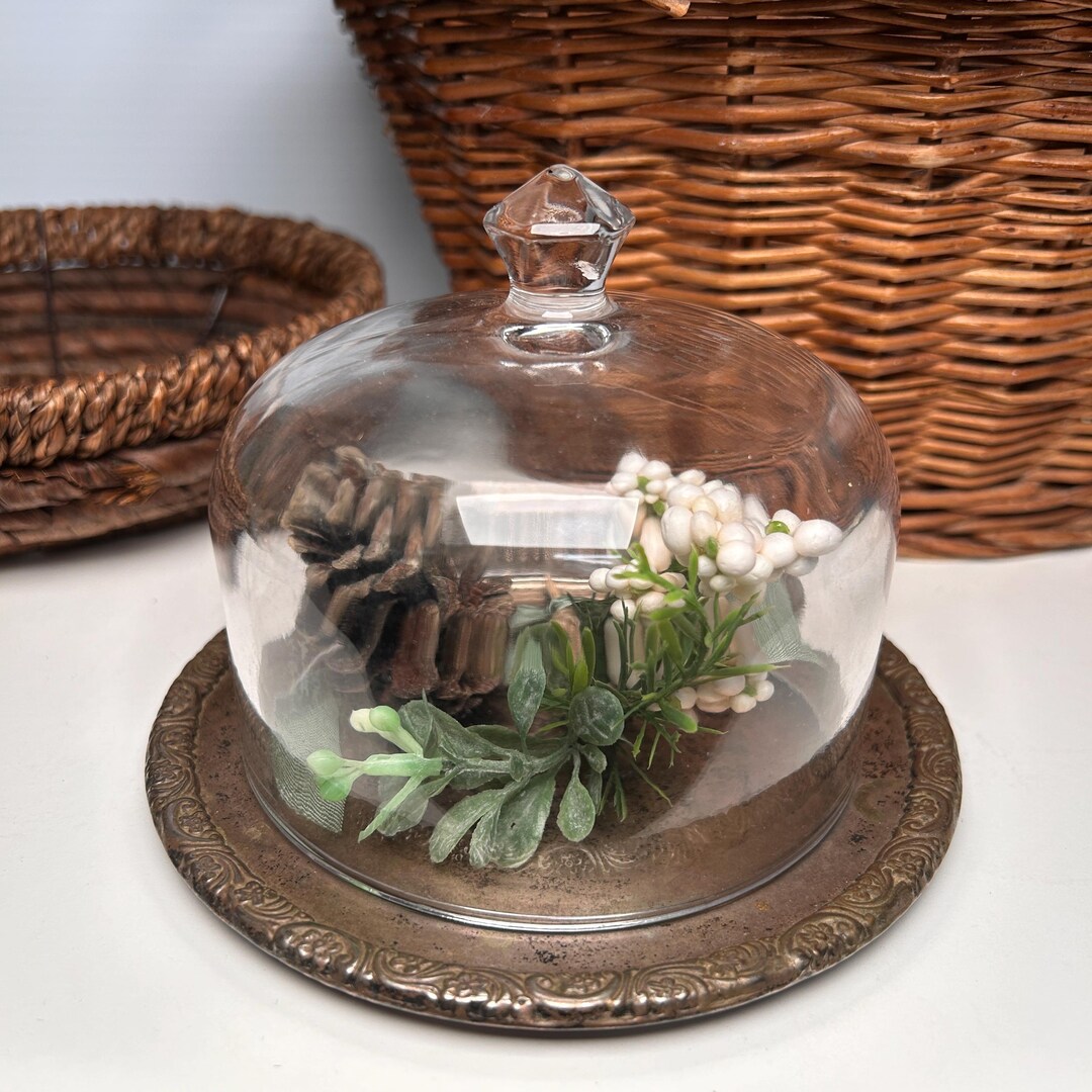 Small Glass Cloche With Silverplate Display Dish - Etsy