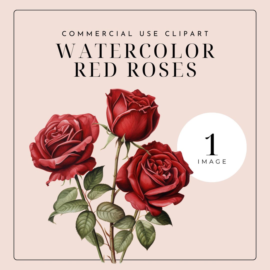 Watercolor Red Roses Clipart | Singel PNG | Commercial License ...
