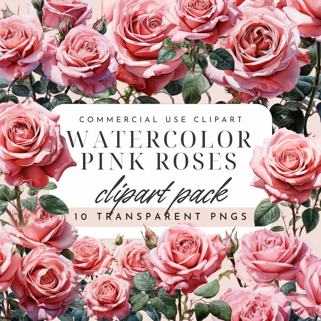 Pink Roses Watercolor Clipart Set – 10 Pngs, Vintage Rose Clipart for ...