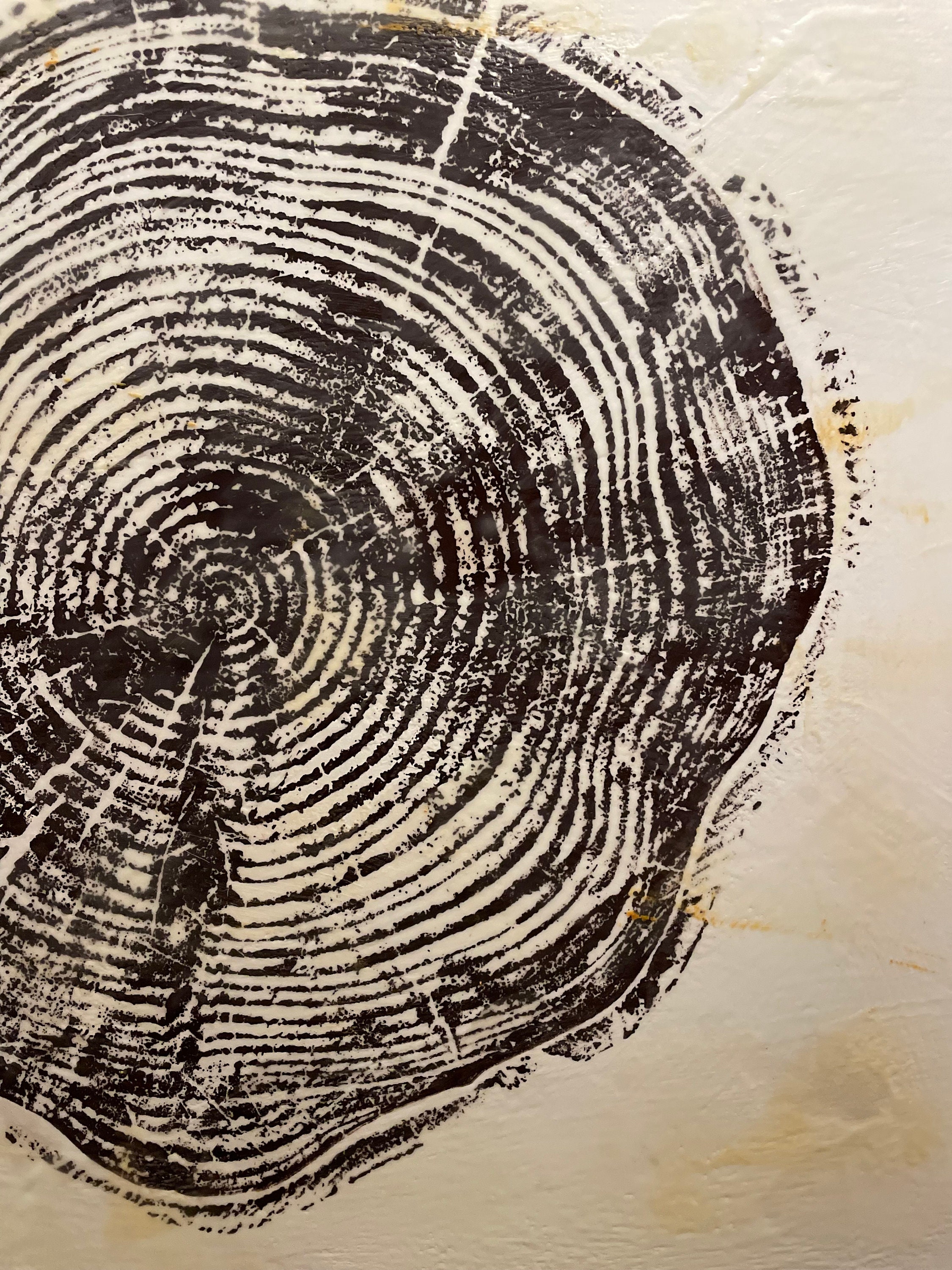 Tree Ring-monoprint and Encaustic(sepia) - Etsy