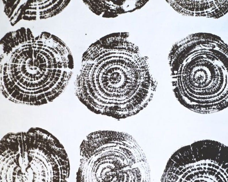 Tree Ring Print, Monoprint -(light Blue Background) - Etsy