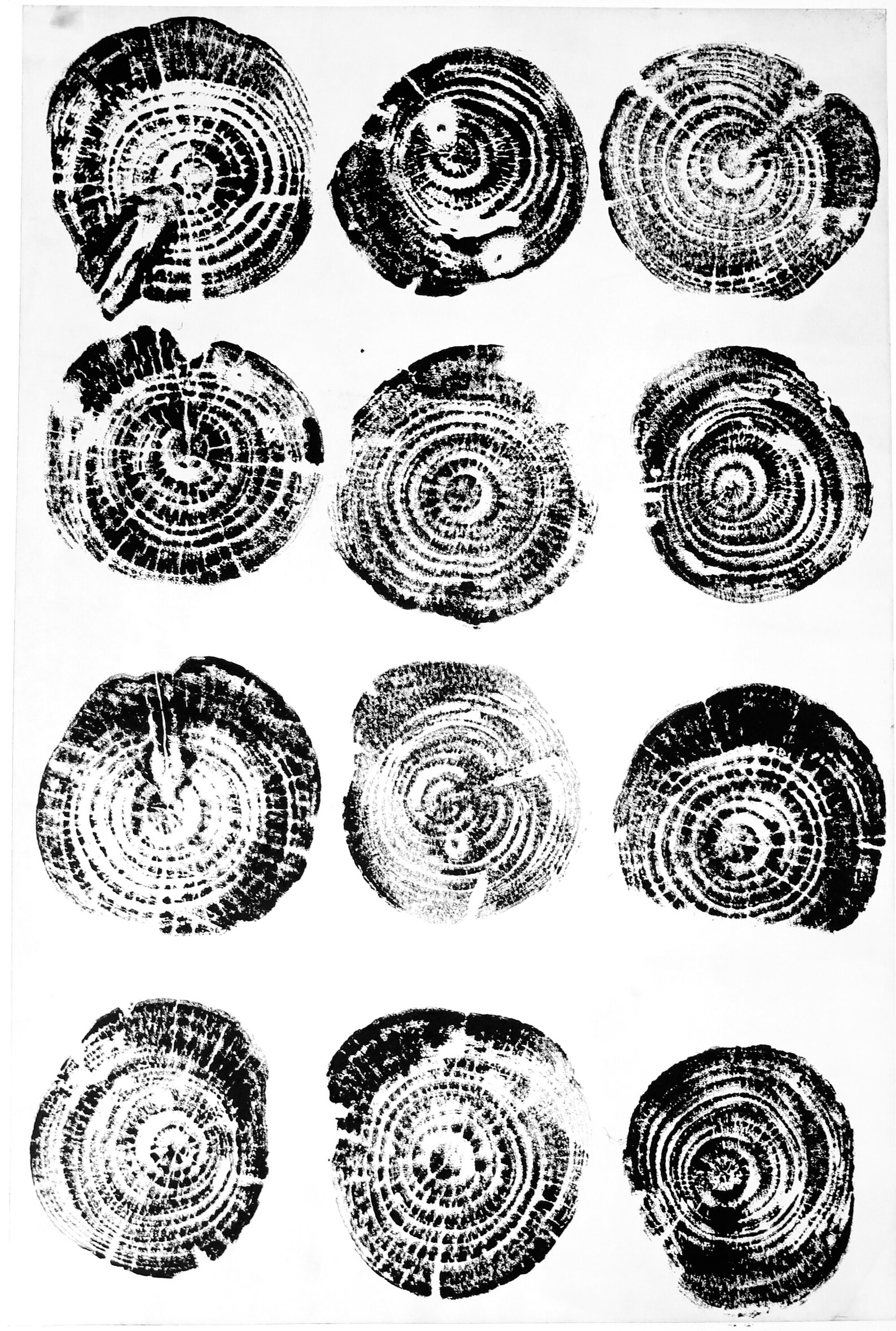 Tree Ring Print, Monoprint -(light Blue Background) - Etsy