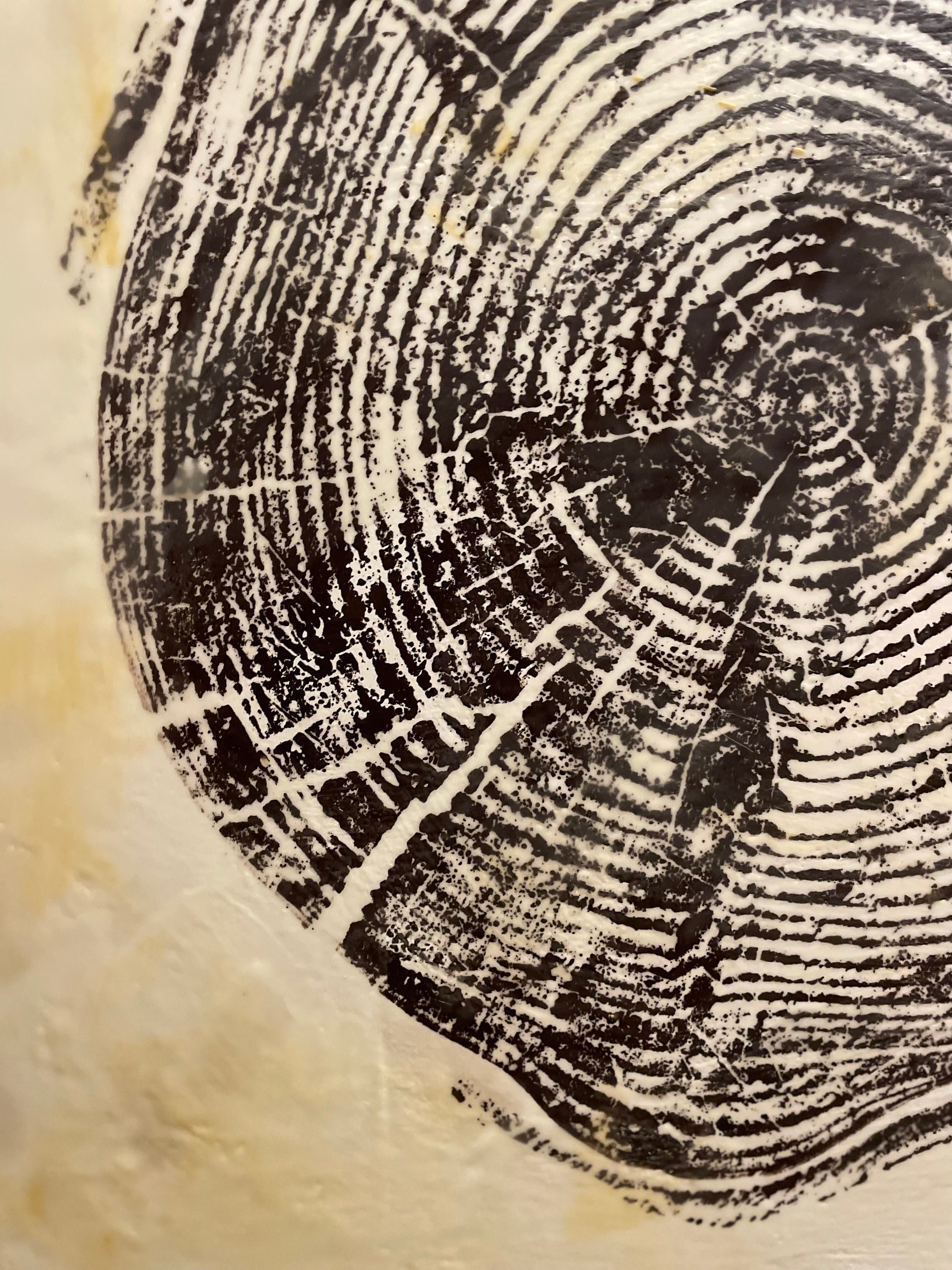 Tree Ring-monoprint and Encaustic(sepia) - Etsy