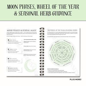 Green Witch Grimoire, Herbal Magick, Herbalism, Witchcraft Basics, Book ...