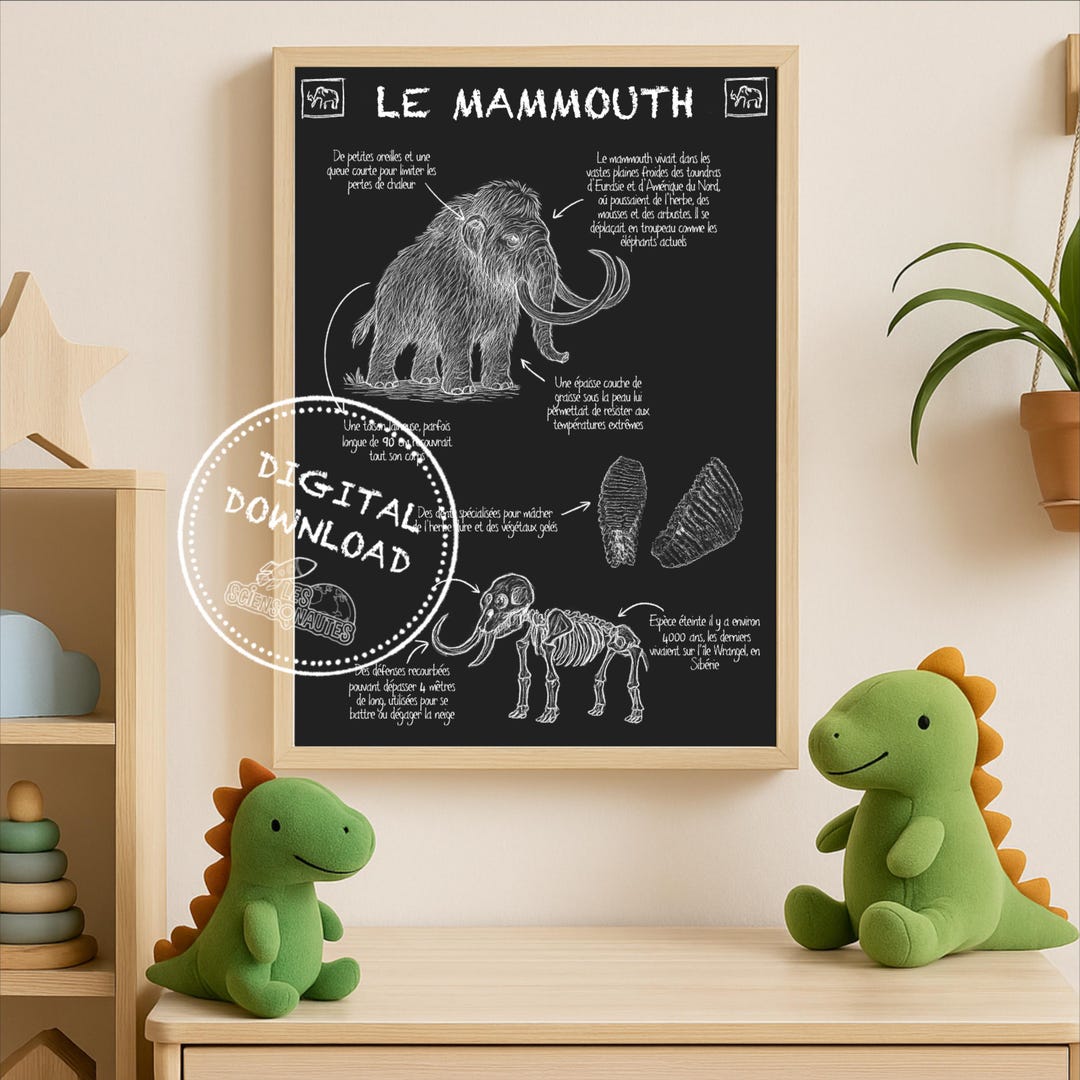 Educational Poster: the Mammoth - Printable | Children's Science Poster ...