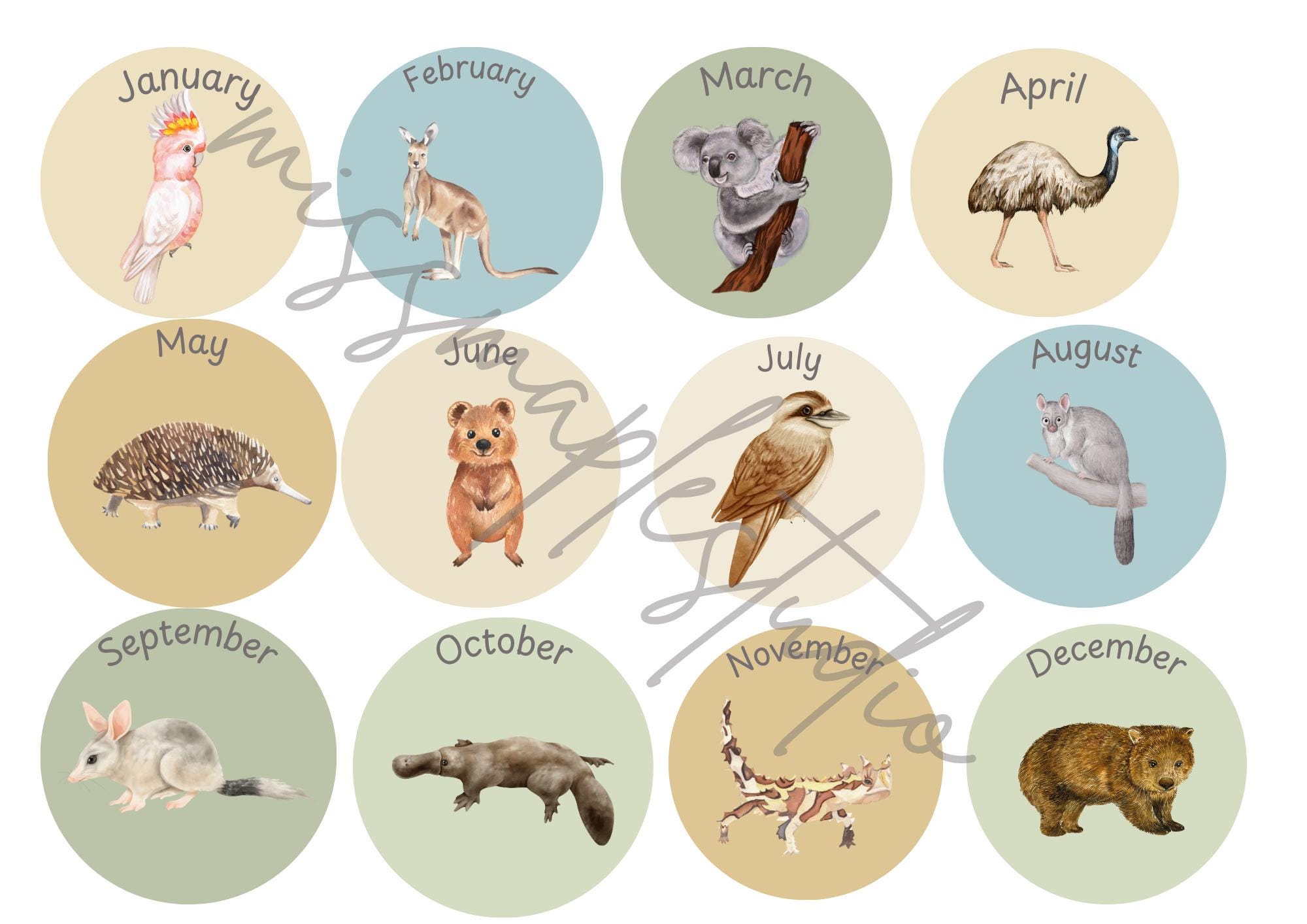 Australian Animal Birthday Display for Classroom Digital Download and ...