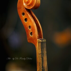 Violin Spirit. Original Sculpture by Fae Factory Artist Dr Franky Dolan ...