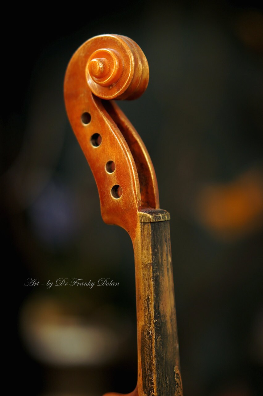 Violin Spirit. Original Sculpture by Fae Factory Artist Dr Franky Dolan ...