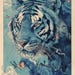 Blue Tiger Art Print: Mystical Jungle Botanical Wall Art - Etsy