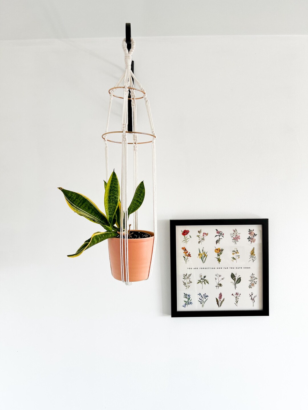 Tiered Gold Hoop Plant Hanger - Etsy