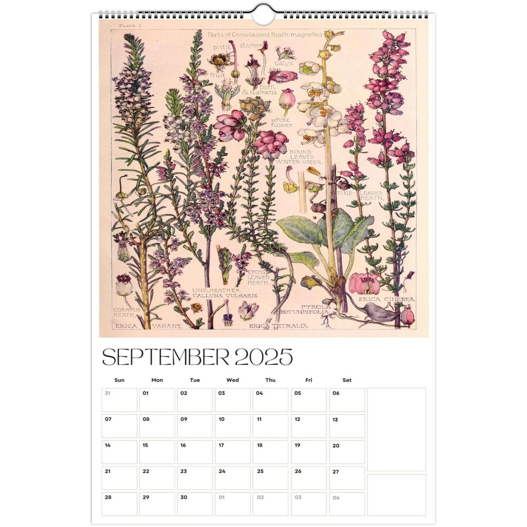 Vintage Botanicals Wall Calendars 2025 / 11" X 16.5" / Watercolor ...
