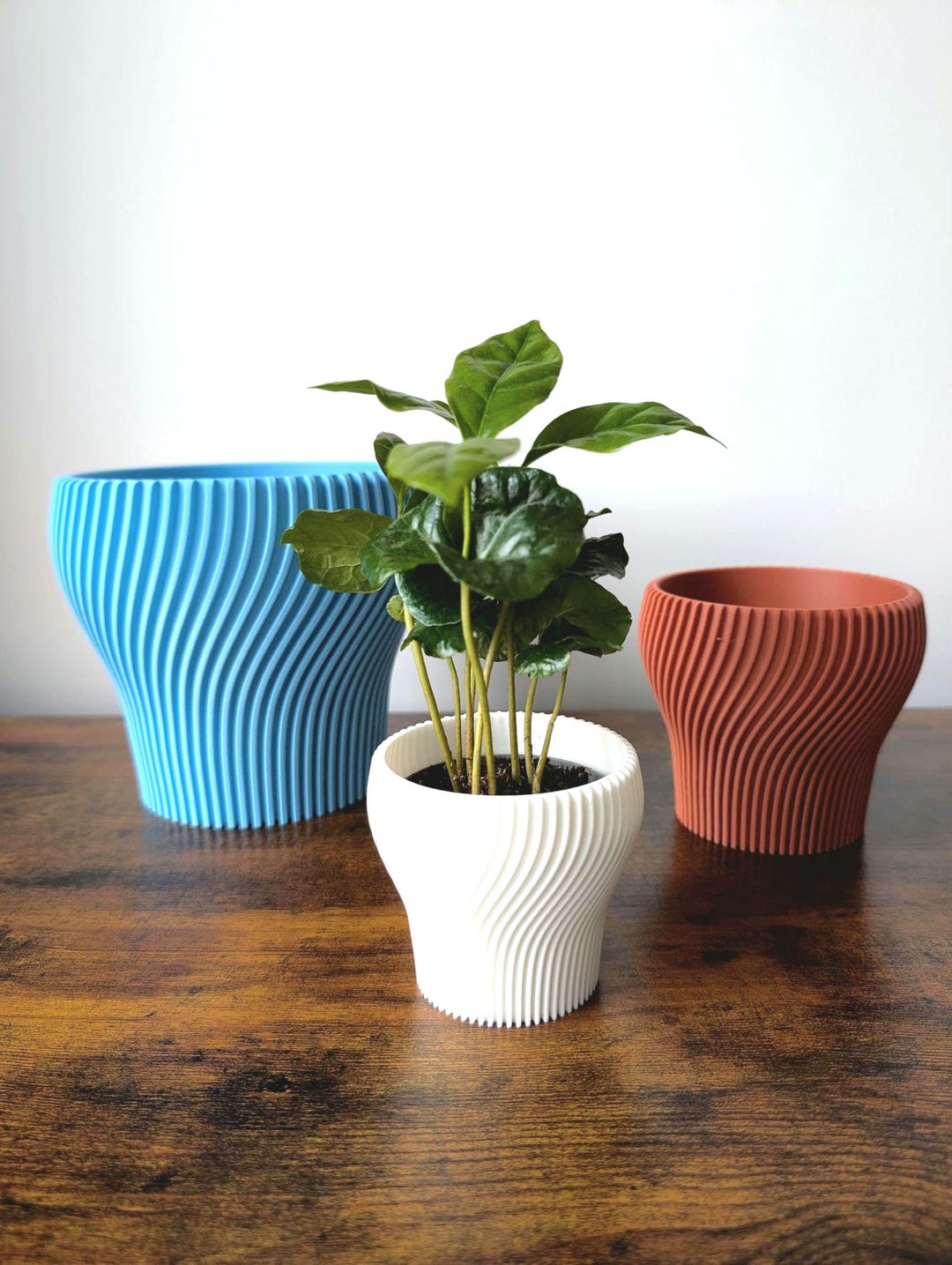 Fluted Modern Plant Pot: Wavy Minimalist Home Decor - Etsy