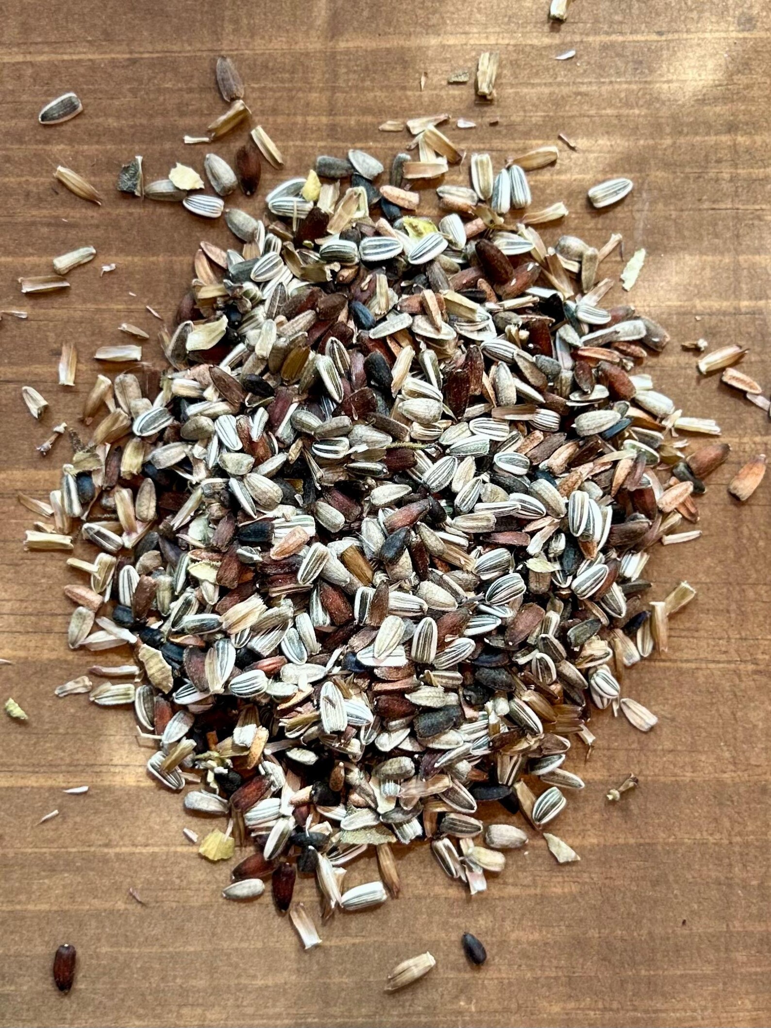 Fall Blend Sunflower Heirloom SEEDS - Etsy