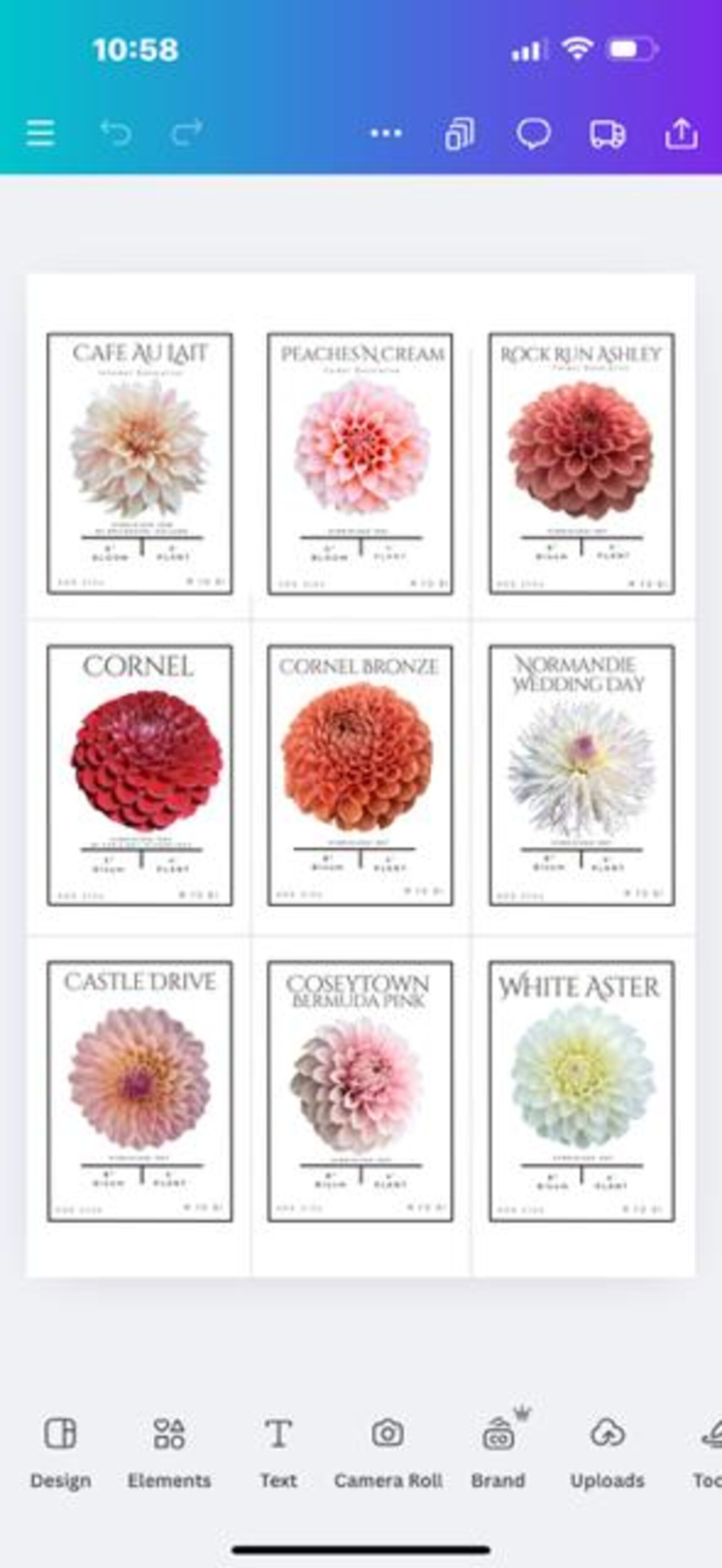 Editabie ID Cards Template - Etsy
