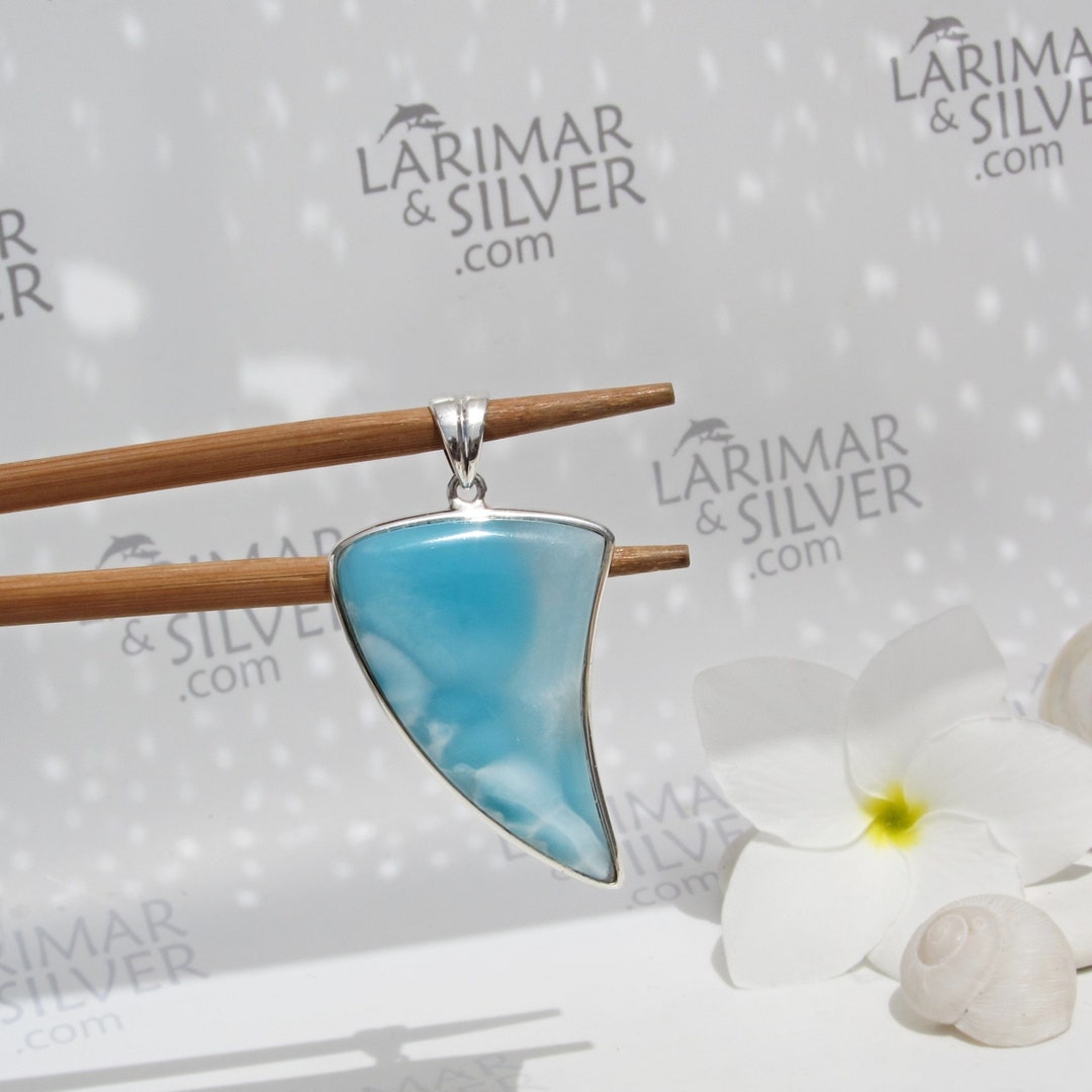 AAA Larimar Men Pendant, Hunting Sea Dragon 20 - Translucent Turquoise ...