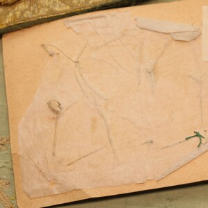 Antique Glass French Lozenge Shape Buttons on Card Purple Blue White 11 ...