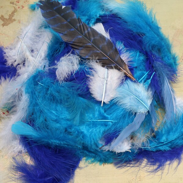 Victorian Feather Art - Etsy
