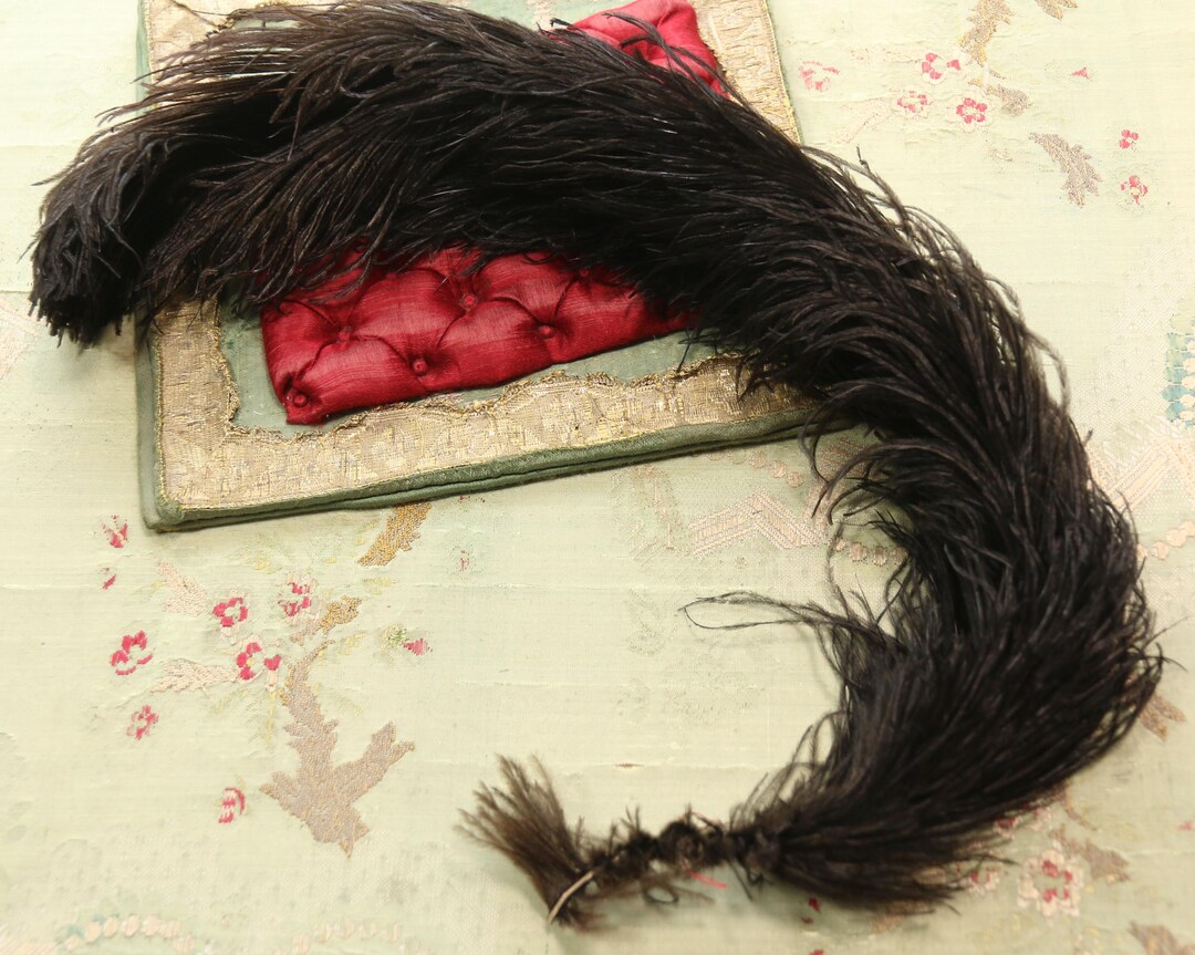 Antique Narrow Long Lovely Ostrich Plume Feather Trim Piece Black Shade ...