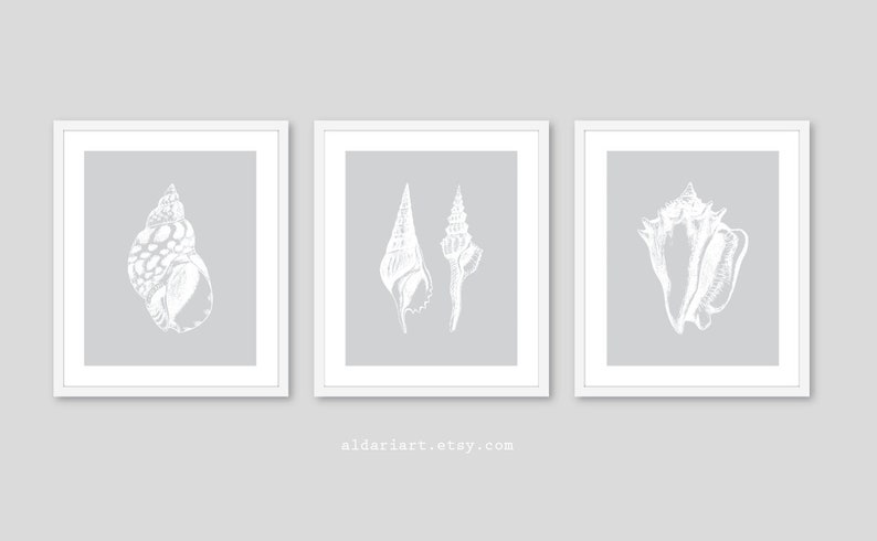Seashell Art Prints Trio Grey and White Nautical Home Decor - Etsy