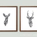 Modern Deer Prints Deer Wall Art Deer and Doe Prints | Etsy