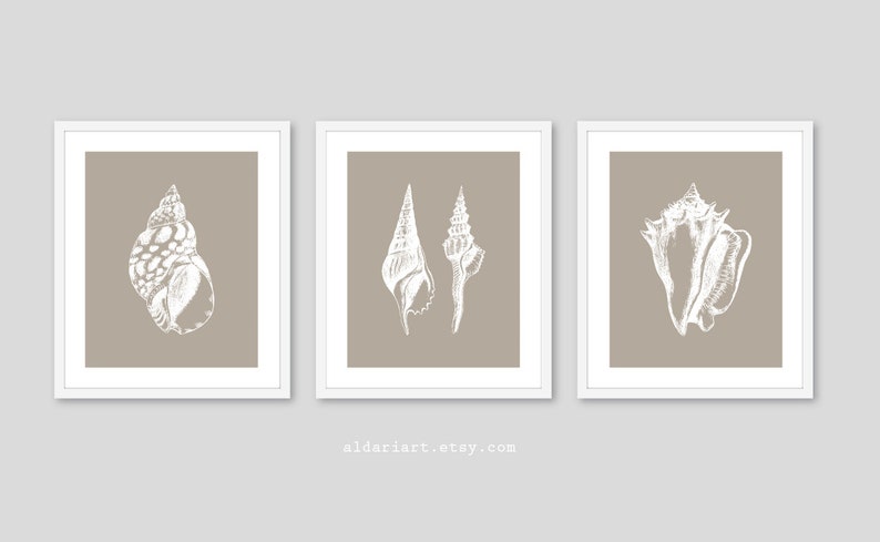 Seashell Art Prints Trio Grey and White Nautical Home Decor - Etsy