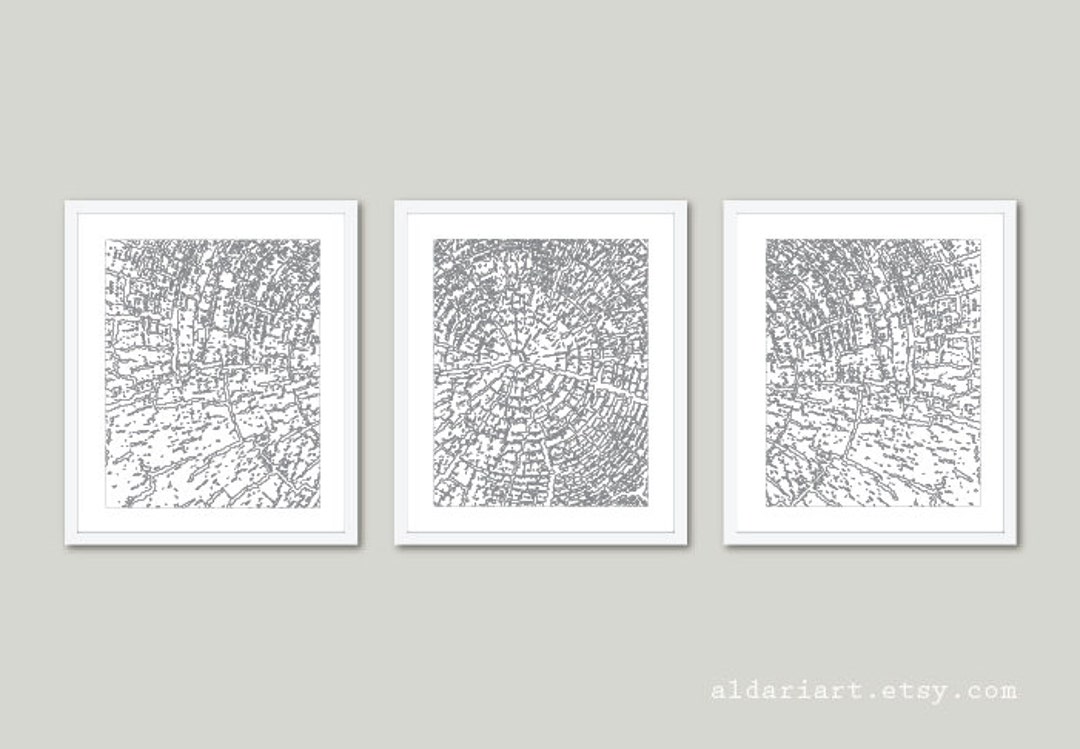 Tree Rings Prints - Wood Grain Art Prints - Set of 3 - Grey and White ...