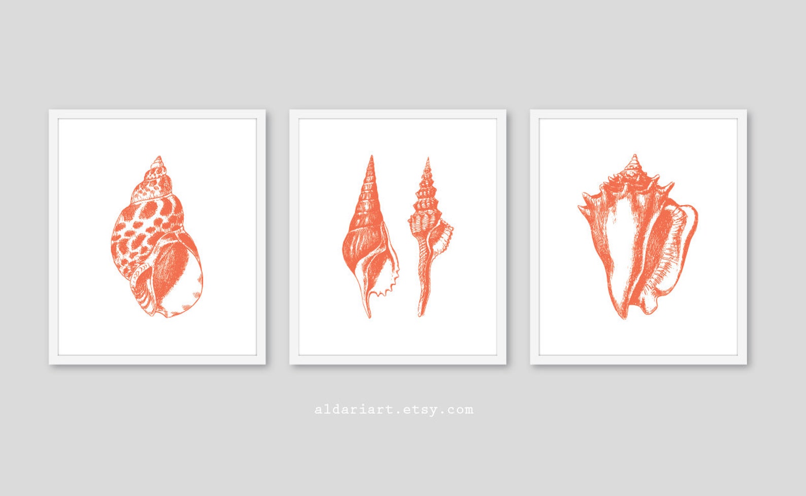 Seashell Prints Nautical Wall Art Coastal Prints Modern Art | Etsy