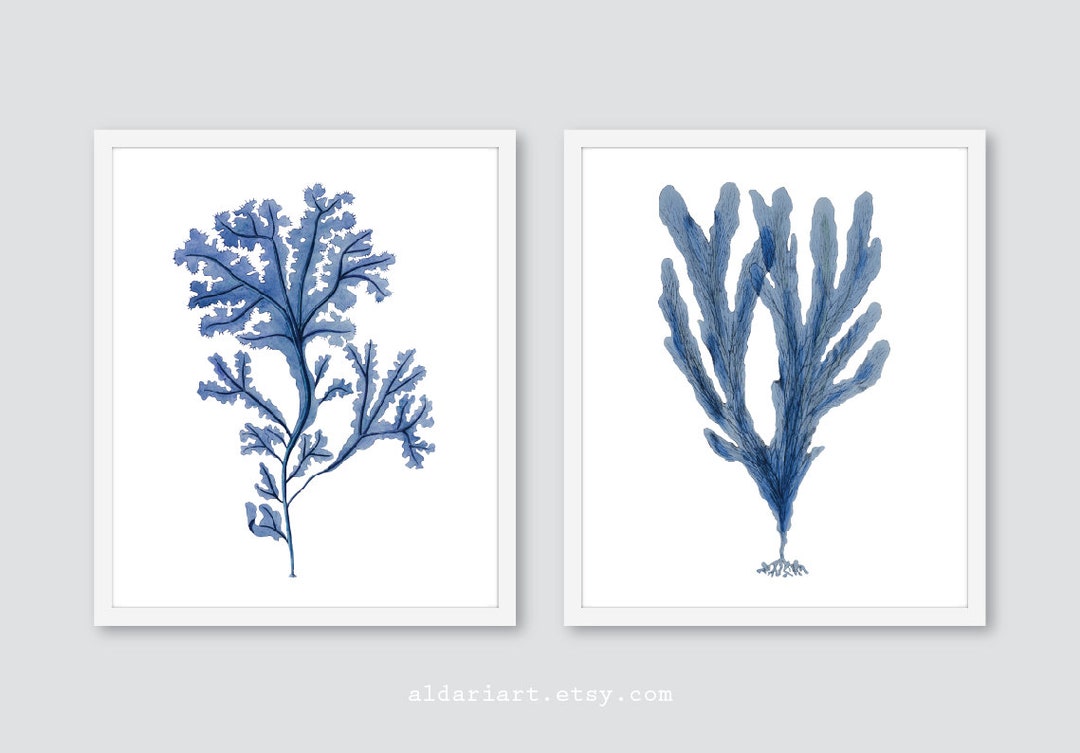 Seaweed Wall Art, Blue Seaweed Art Prints, Coastal Wall Decor, Set of 2 ...