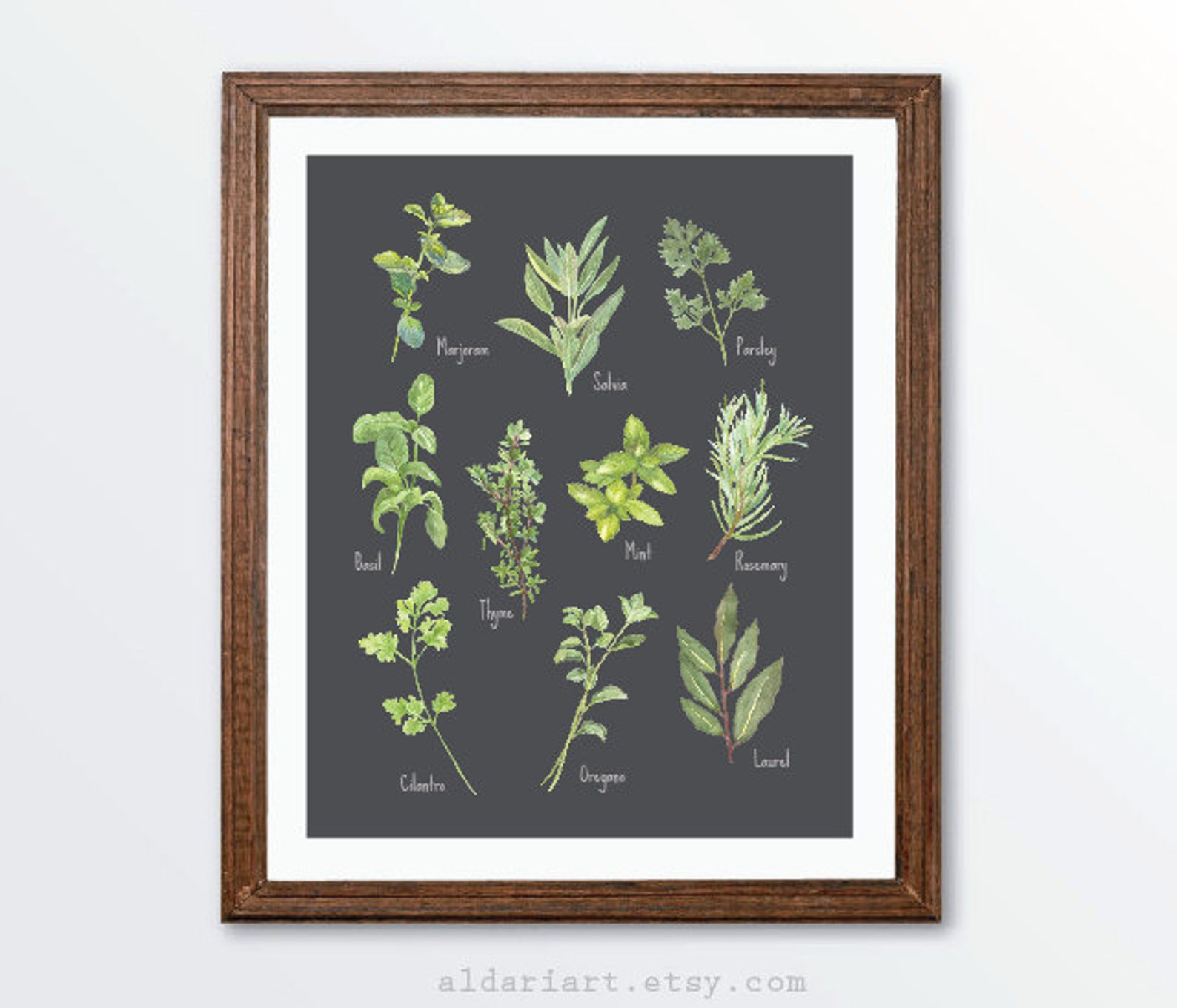 Culinary Herbs Art Print - Herbs Art - Herbs & Spices Kitchen Wall Art ...