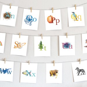 Nature Alphabet Flash Cards / Science ABC Flashcard Set Printed With ...