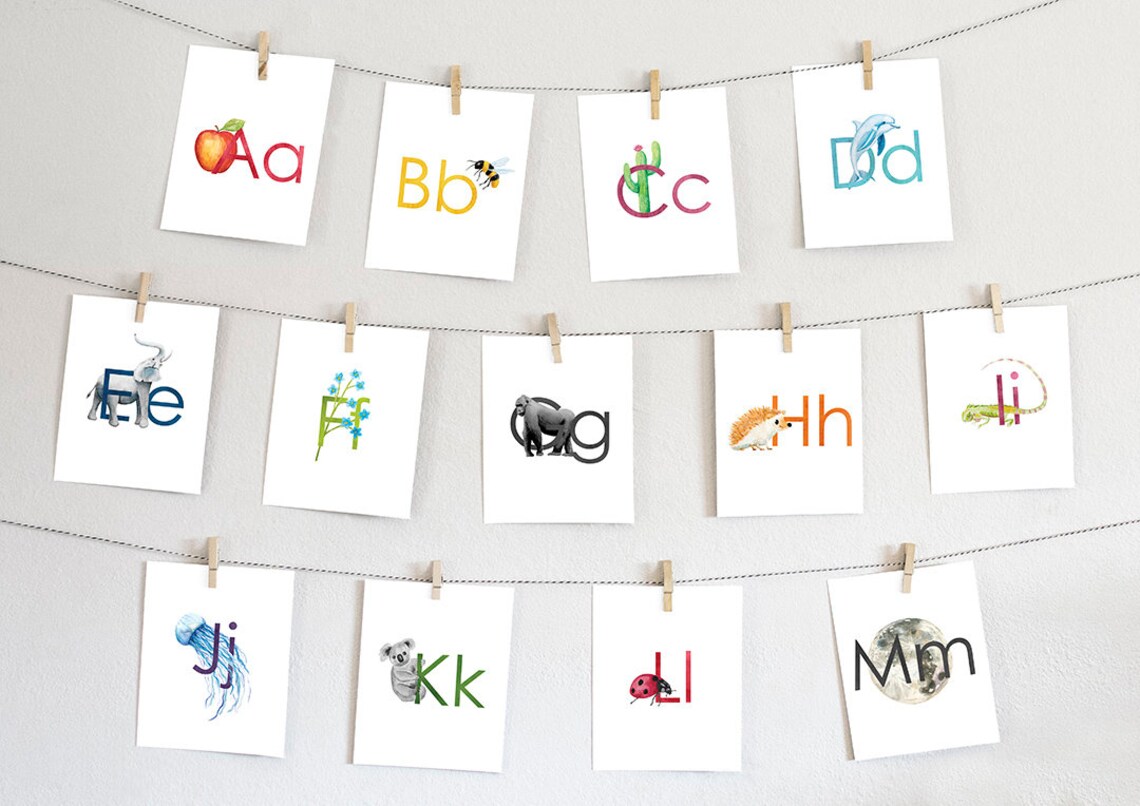 Nature Alphabet Flash Cards / Science ABC Flashcard Set - Etsy