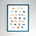 Nature Alphabet Poster / Science ABC Art Digital Printable With Short ...