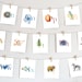 Nature Alphabet Flash Cards / Science ABC Flashcard Digital Printables ...