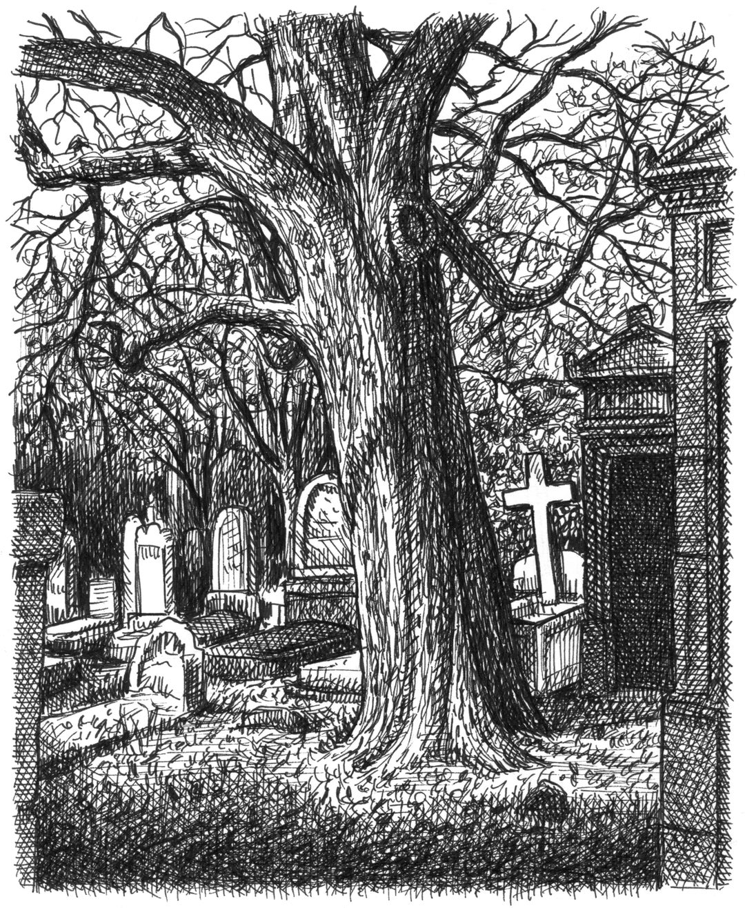 Shadow Tree, Cemetery Art Print - Etsy