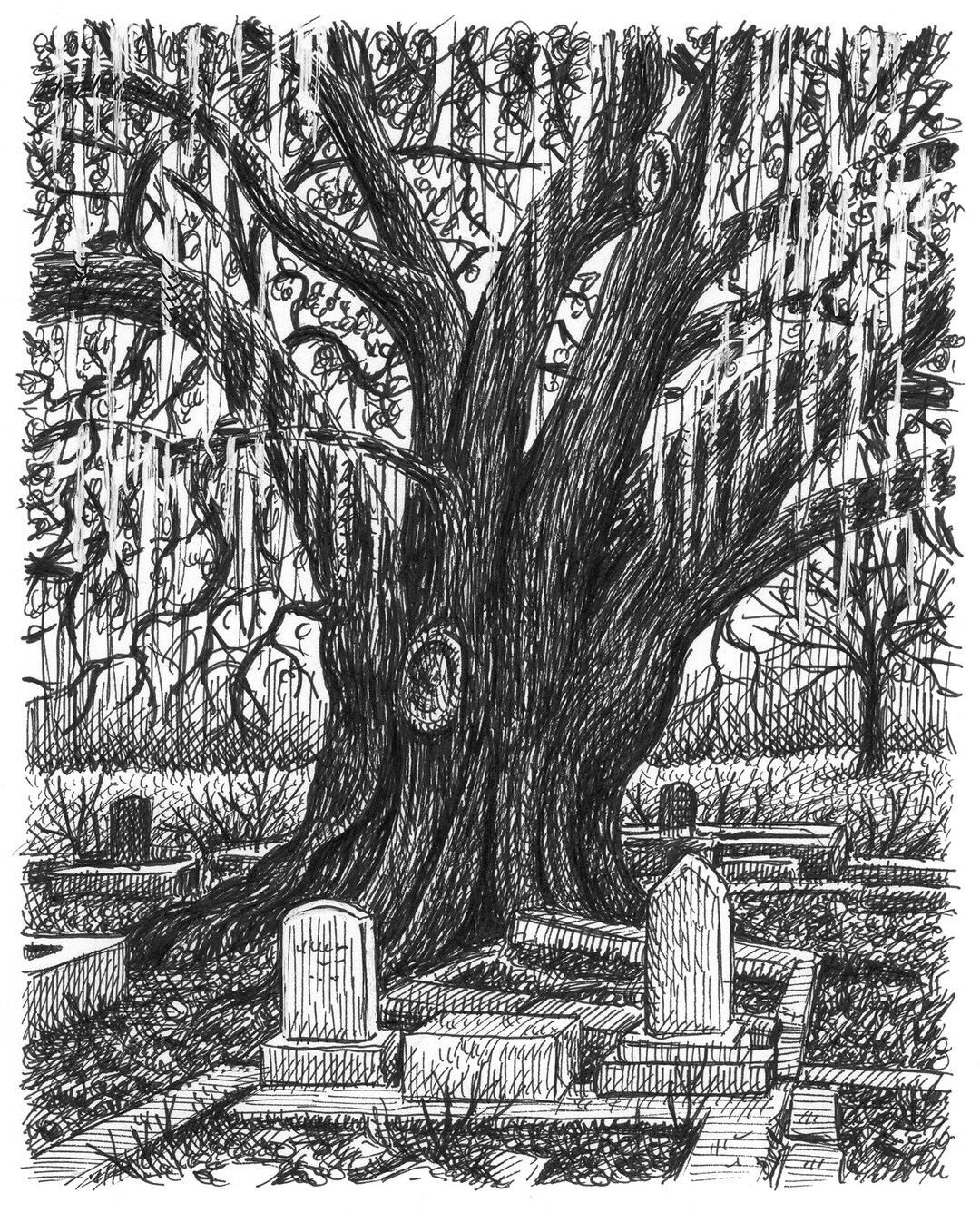 Ancient Oak Original Cemetery Drawing - Etsy
