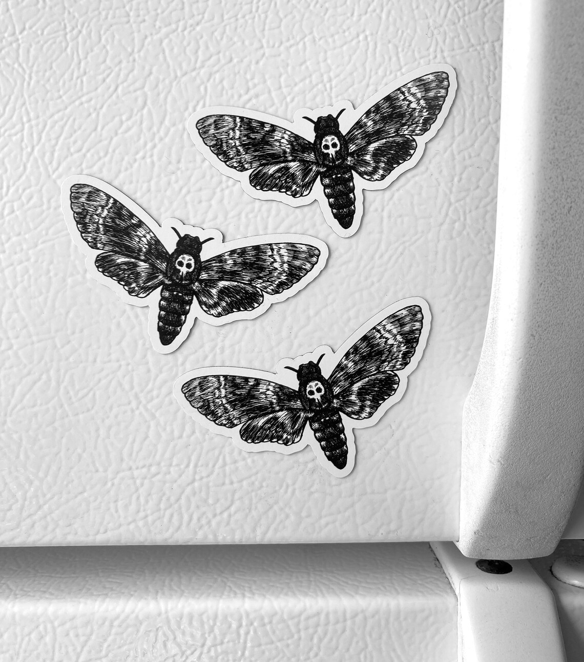 Death's-head Moth Art Print - Etsy