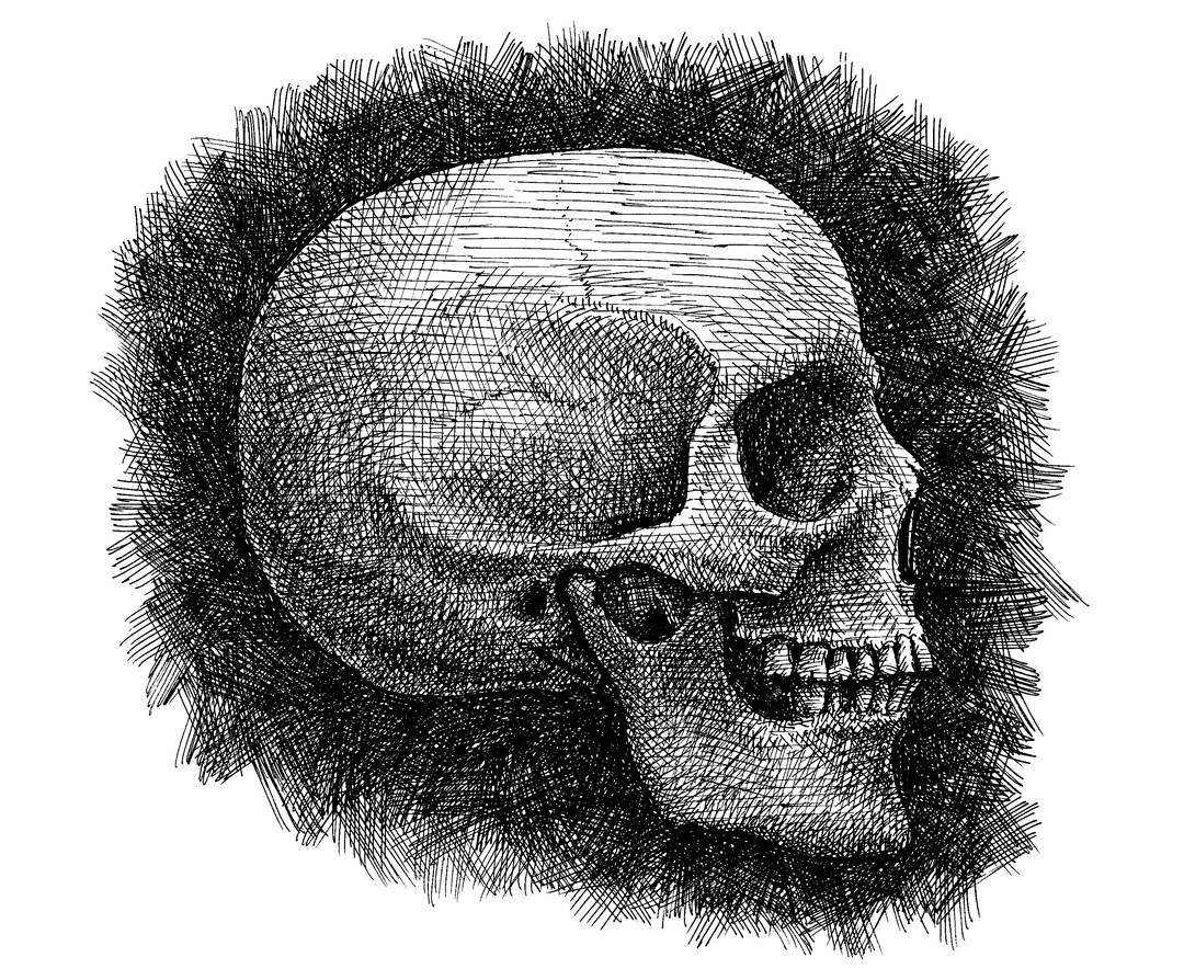 Skull, Art Print - Etsy