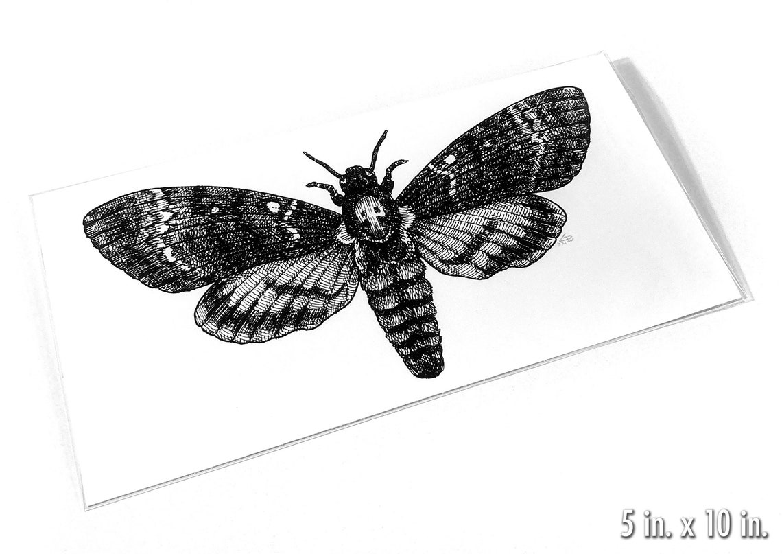 Death's-head Moth Art Print - Etsy