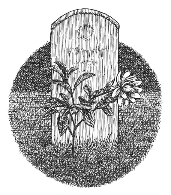 Grave Drawings