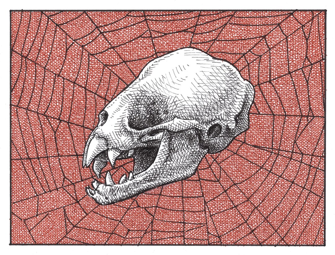 Vampire Bat Skull, Red, Original Drawing - Etsy