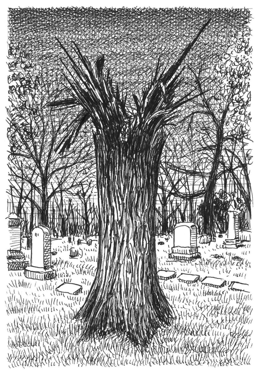 Snapped, Original Cemetery Drawing - Etsy